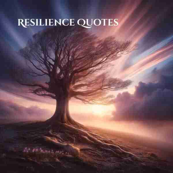 Resilience Quotes to Empower and Inspire Your Life Journey