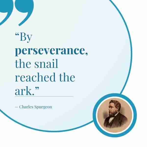 Perseverance Quotes That Can Make All the Difference in Life