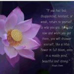 Spiritual Awakening: 50 Lotus Quotes | Resilient Stories