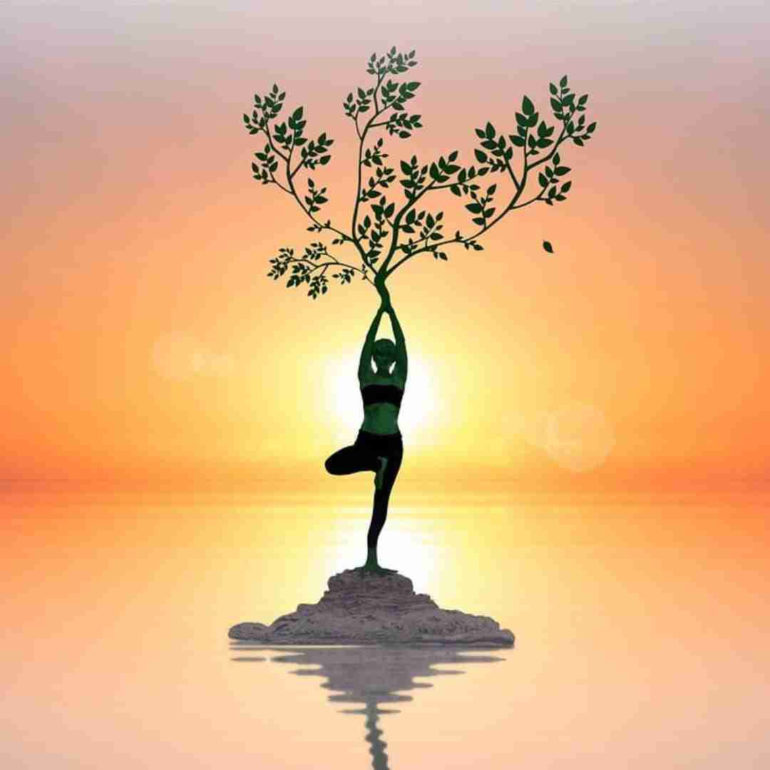 Wellness Quotes to Awaken Your Mind-Body-Spirit Connection