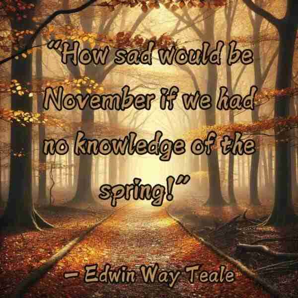 November Quotes: Embracing the Beauty of Autumn’s Last Chapter ...