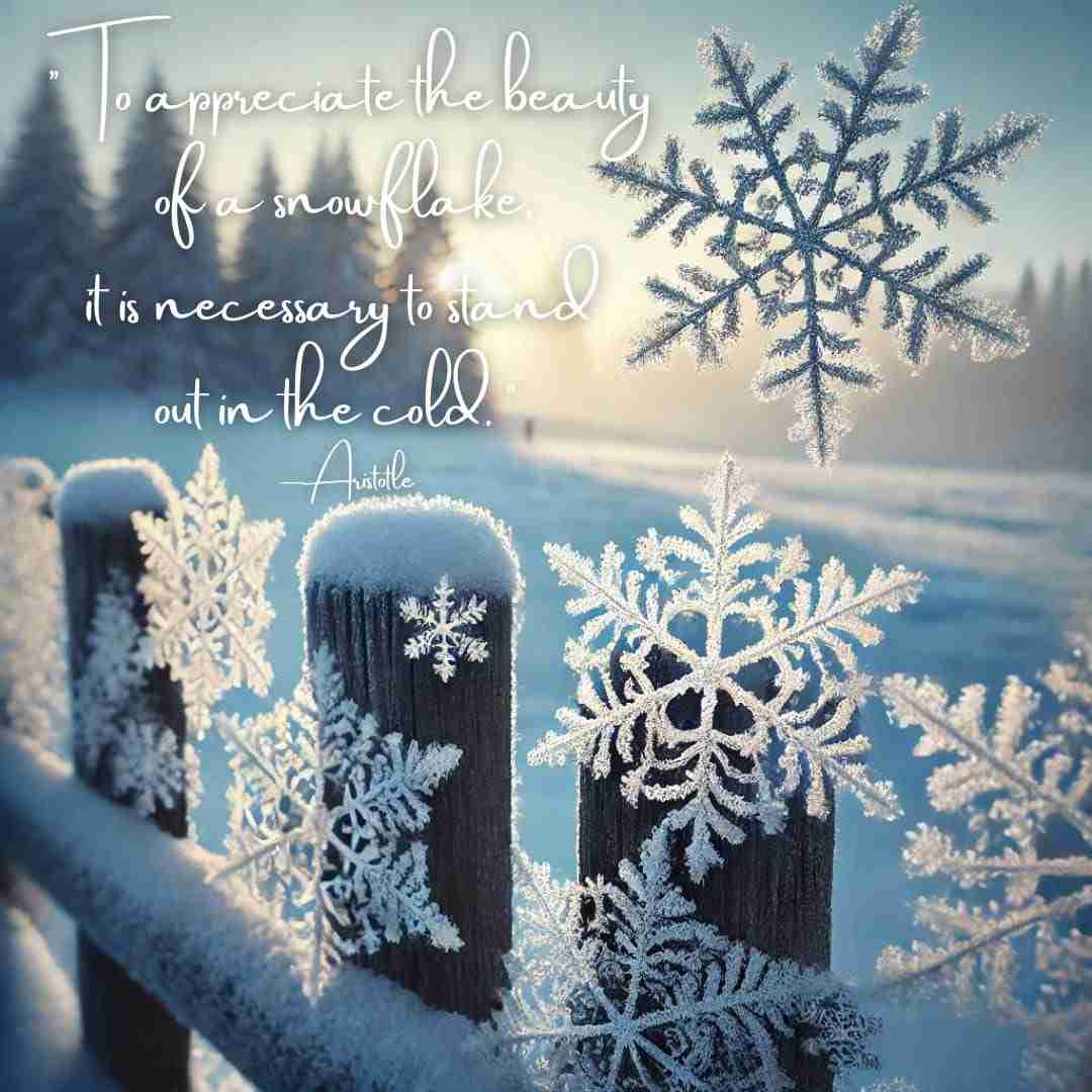 Snow Quotes: Appreciating Nature's Silent Gift