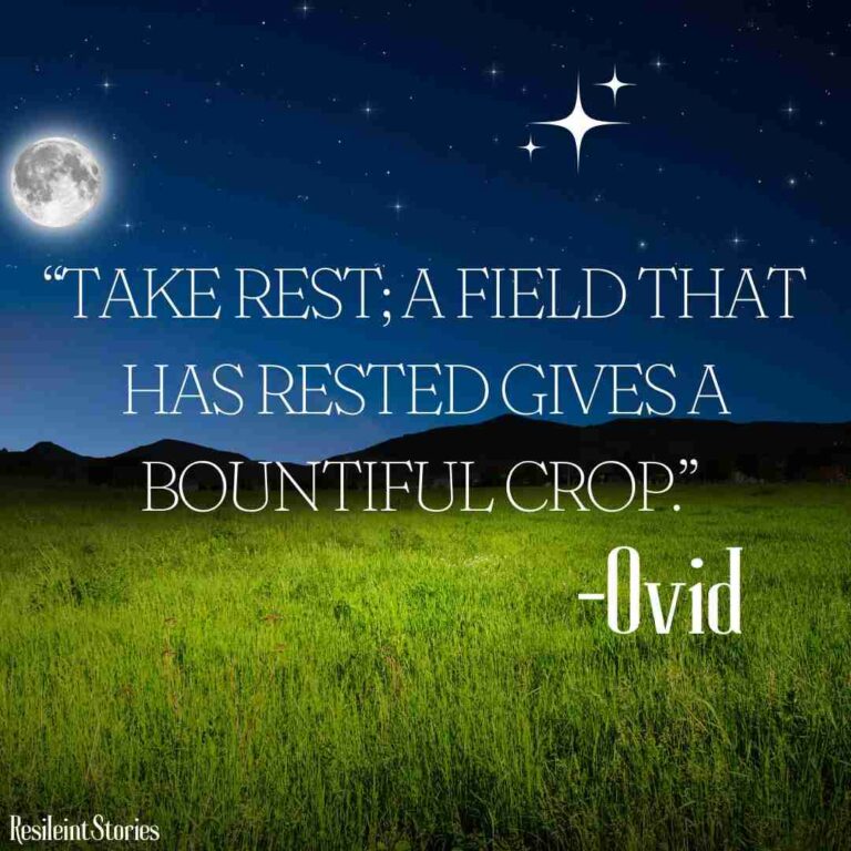 55 Best Good Night Quotes for Sweet Dreams and Restful Nights