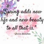 32 Feel-Good April Quotes to Brighten Your Month