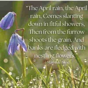 32 Feel-Good April Quotes to Brighten Your Month